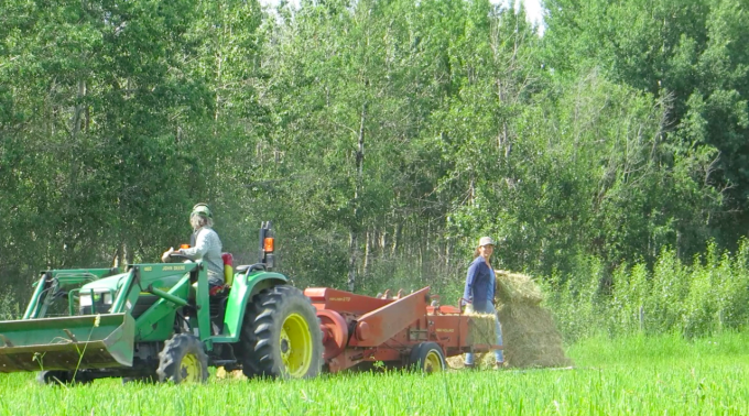 Welcome to Wildwood Farm | This land captured our hearts 45 years ago ...